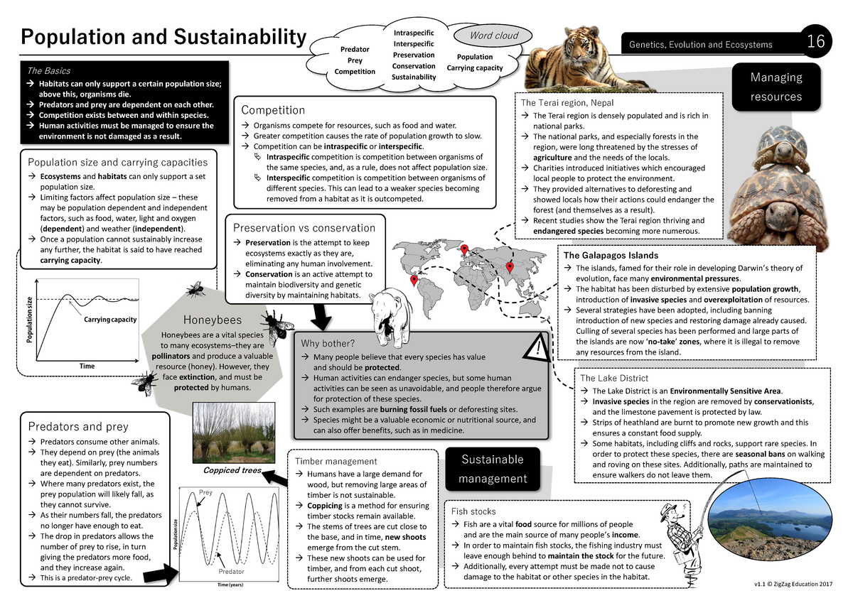 Module 6: Population & Sustainability in OCR A Level Biology - Studocu