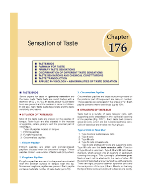 Olfactory Physiology: Comprehensive Analysis of Smell Mechanisms - The ...