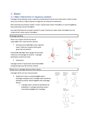 [Solved] Explain why the absorbance at 260 nm and 280 nm and 230 nm are ...