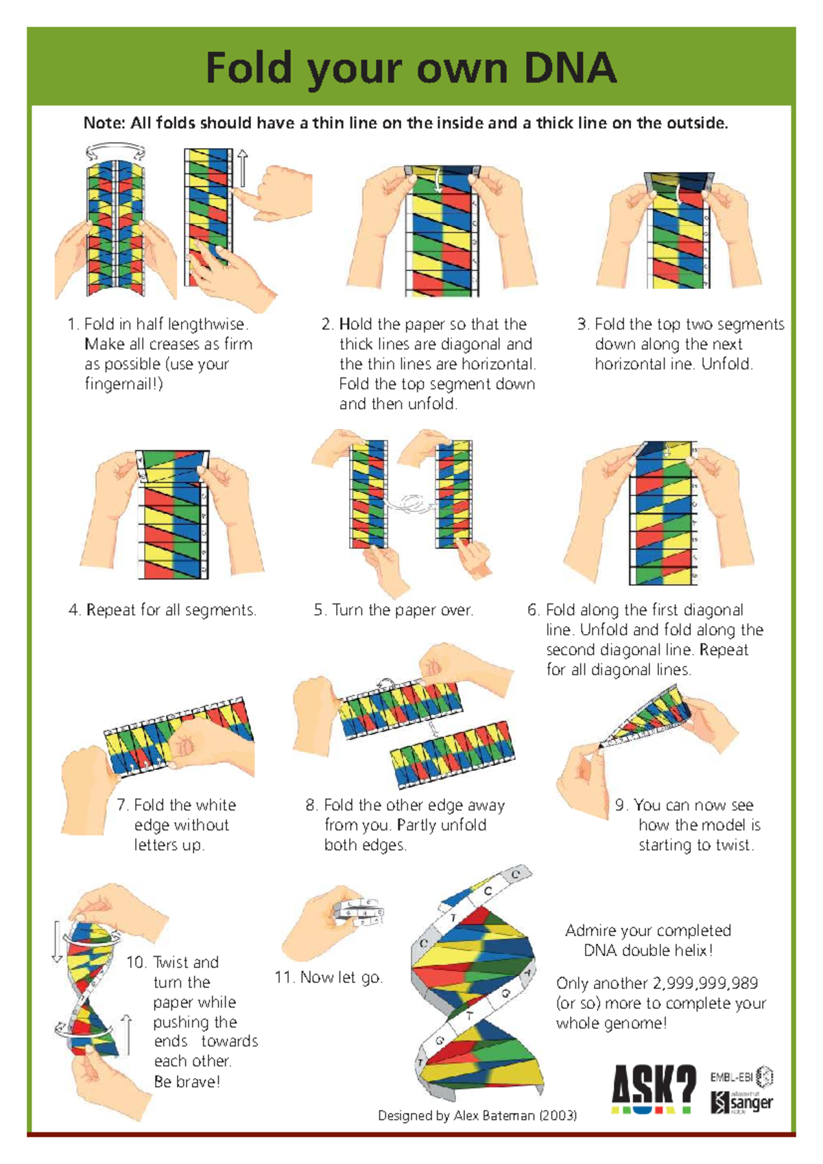 Fold Your Own DNA: Step-by-Step Guide to Create a Helix - Studocu