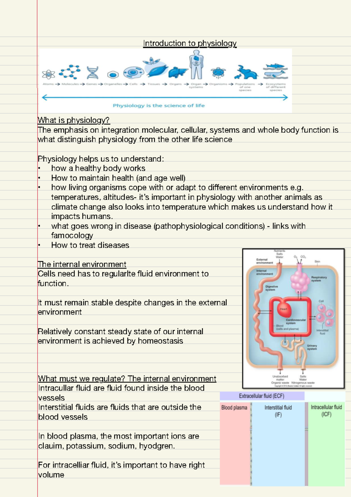 1 - Introduction to Physiology: Understanding Body Functions and ...
