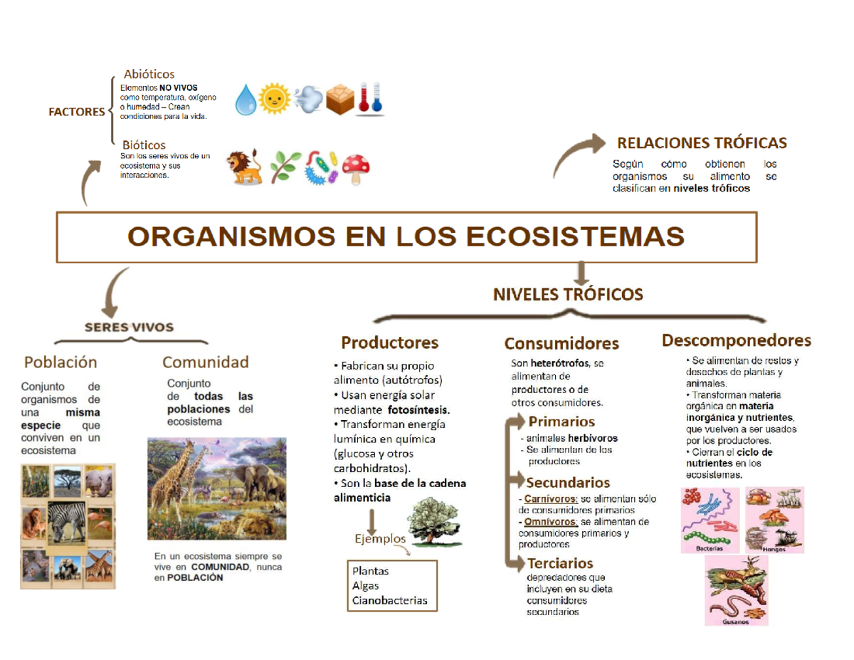 MAPA de Organismos en los Ecosistemas: Factores Bióticos y Abióticos ...