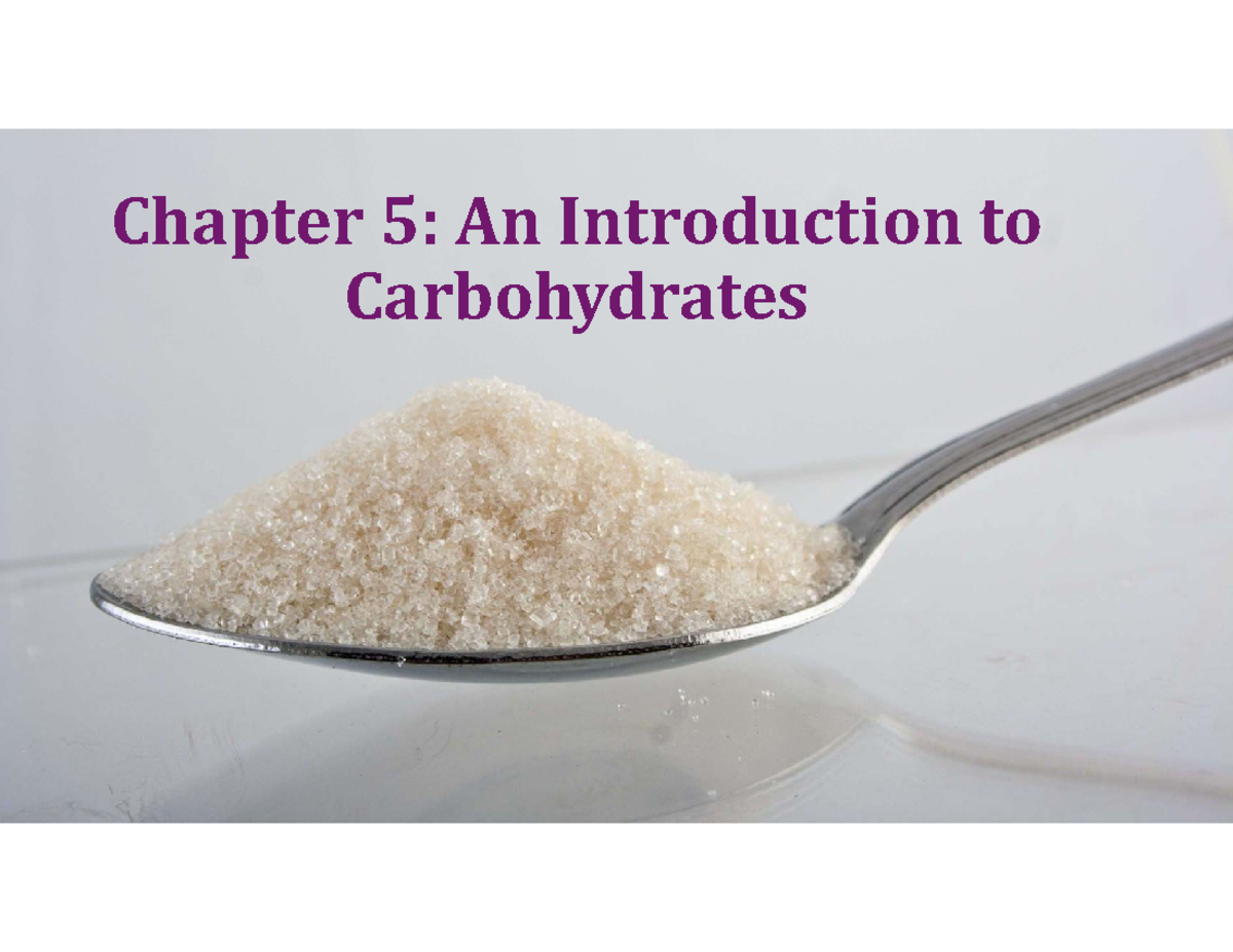 Bio 101: Chapter 5 - Introduction to Carbohydrates Lecture Notes - Studocu