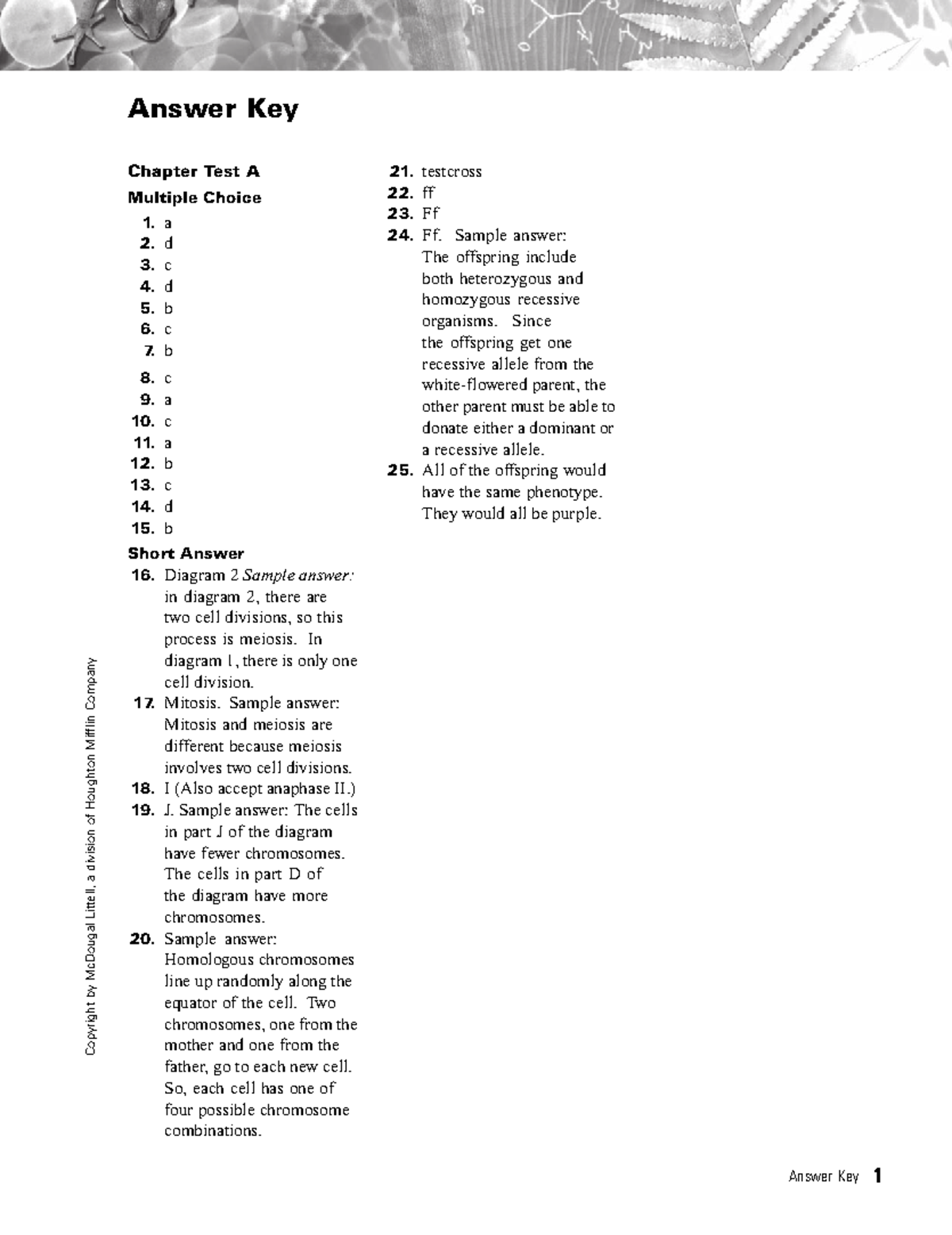 Biology 234 Chapter Test A Answer Key: Meiosis and Mendel - Studocu