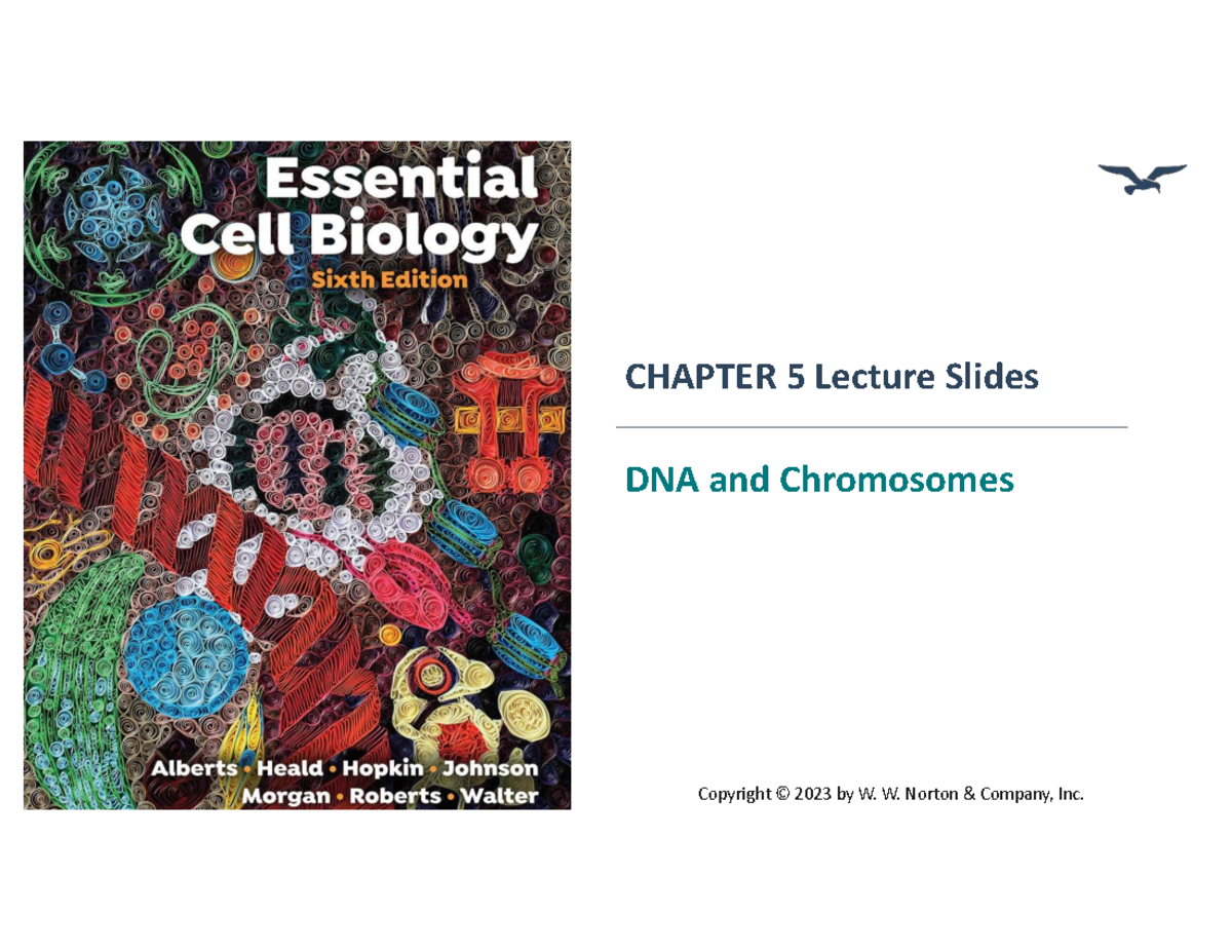 BIO2120 Final Exam Lecture Notes: Structure of DNA & Chromosomes - Studocu