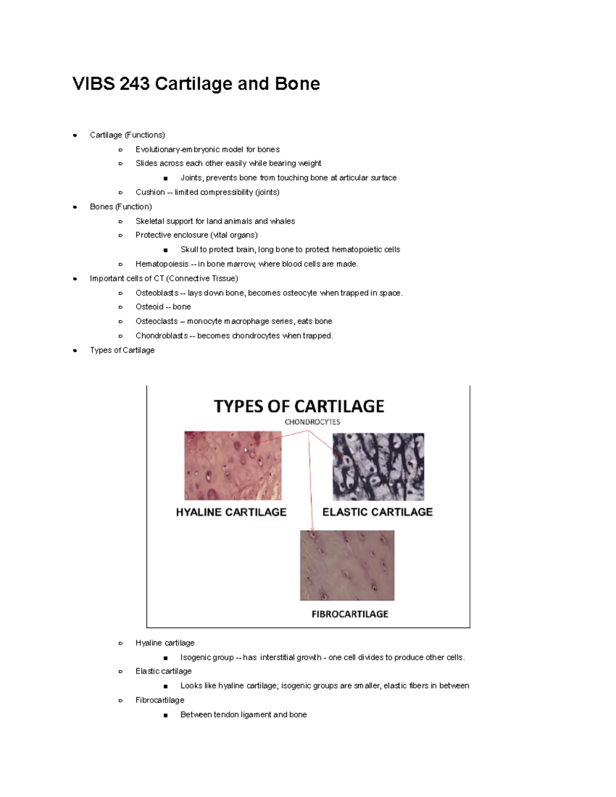 VIBS 243 Cartilage and Bone (Q3) - VIBS 243 Cartilage and Bone ...