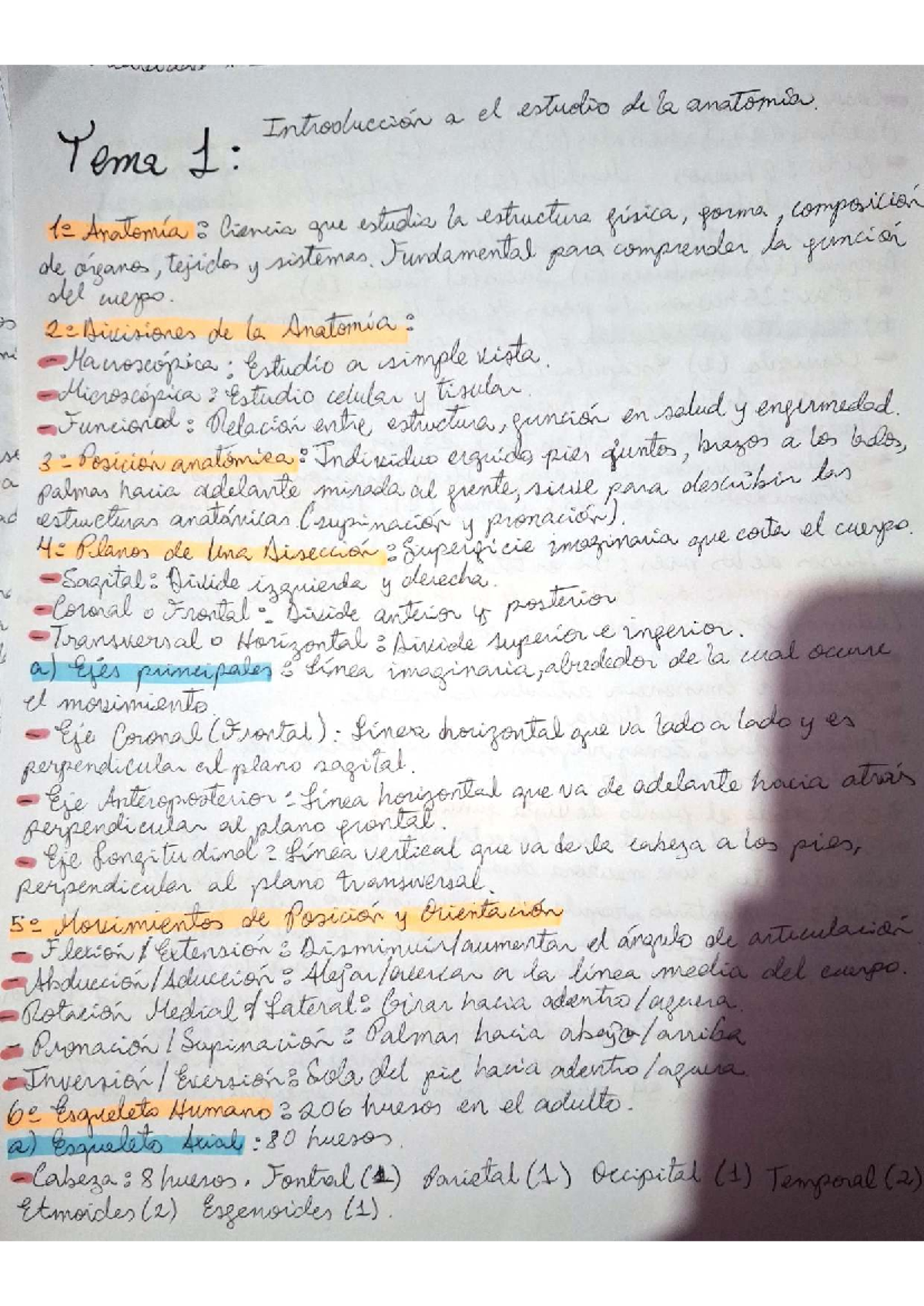 Quiz 10: Introducción a la Anatomía y Columna Vertebral - Studocu
