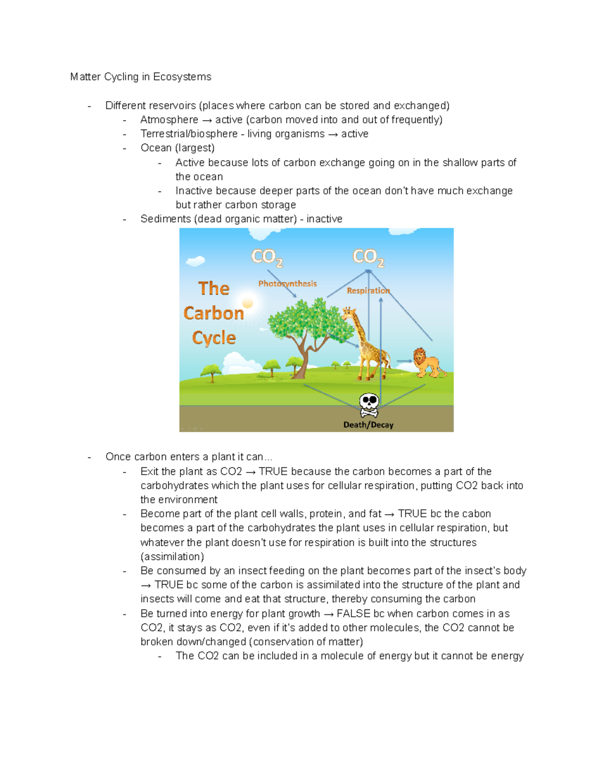 12/5 - Final Exam Notes on Matter Cycling in Ecosystems - Studocu