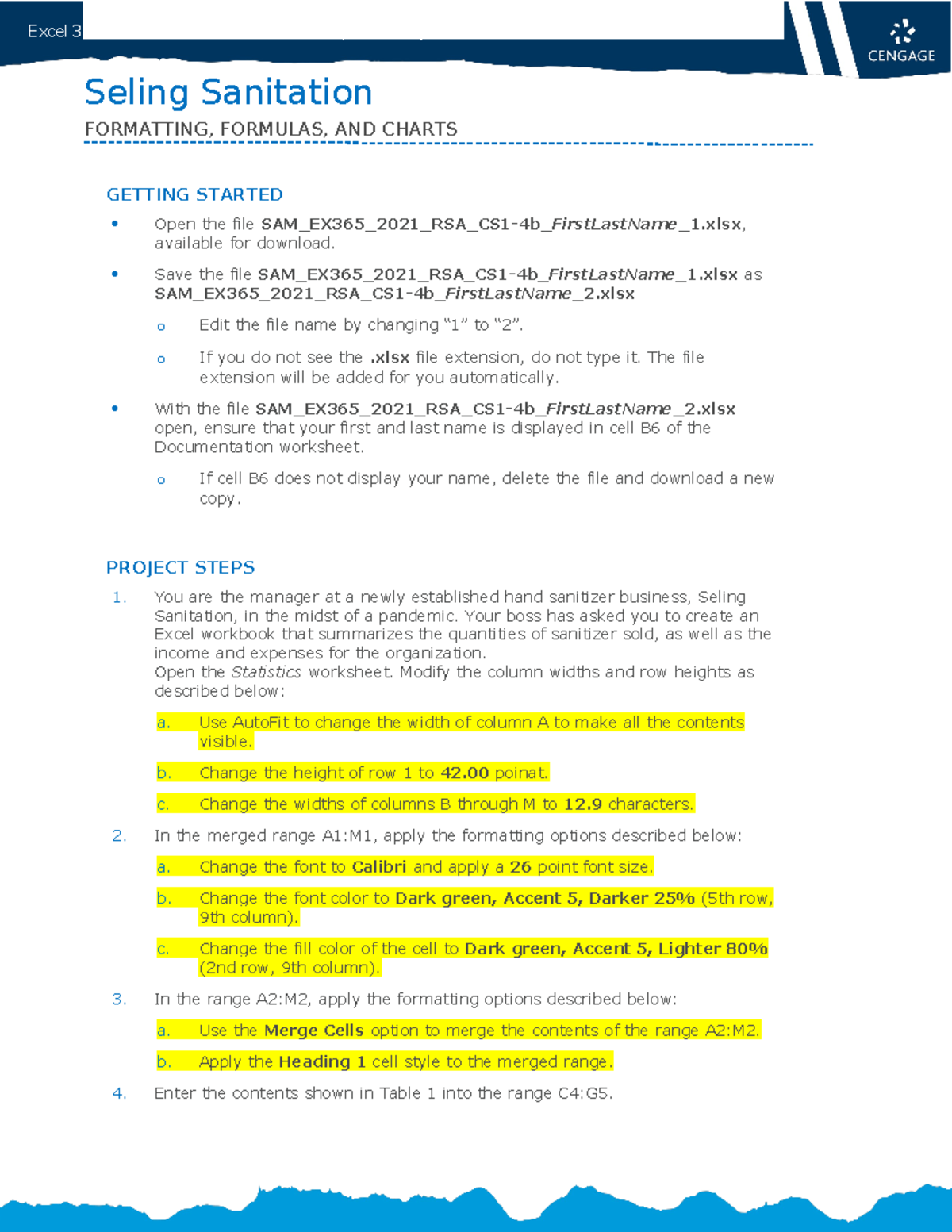 Instructions SAM EX365 2021 RSA CS1-4b - Seling Sanitation FORMATTING ...