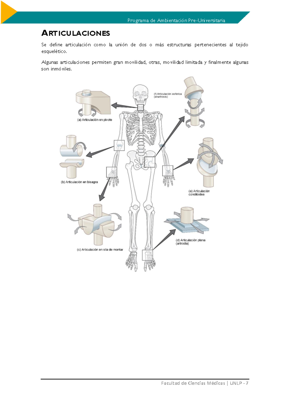 Anatomía: Programa de Ambientación - Facultad de Ciencias Médicas UNLP ...