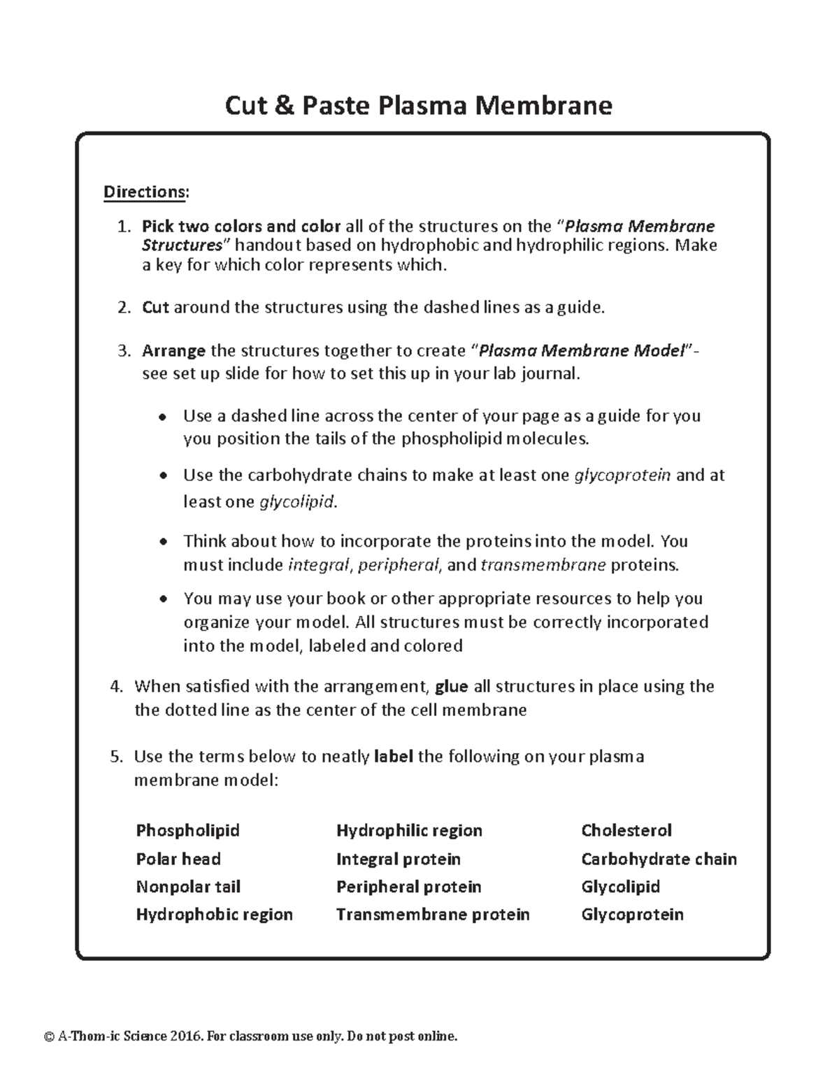 Cut Paste Plasma Membrane Model Student (24 25) - Cut & Paste Plasma ...