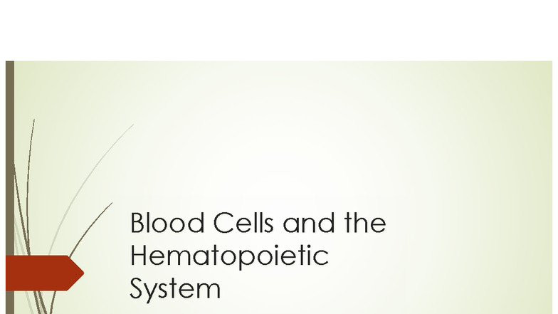 Blood Cells and the Hematopoietic System: Key Functions and ...