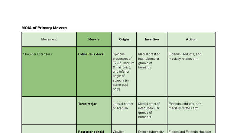 MOIA of Prime Movers - First Semester - MOIA of Primary Movers Movement ...