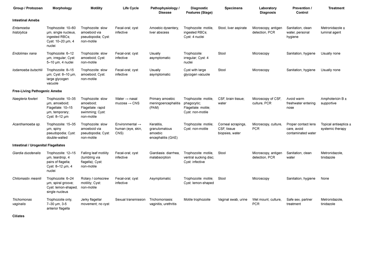 1ST Shift Exams Masterlist: Protozoan Morphology & Pathophysiology ...