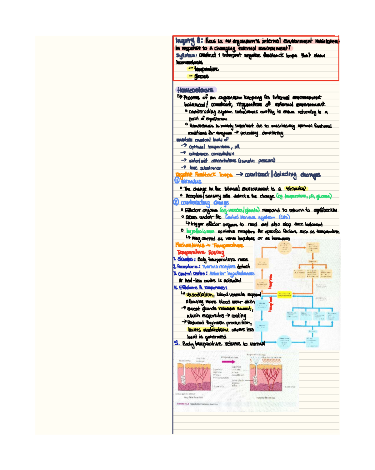 Module 8: Non-Infectious Diseases - Homeostasis & Genetic Disorders ...