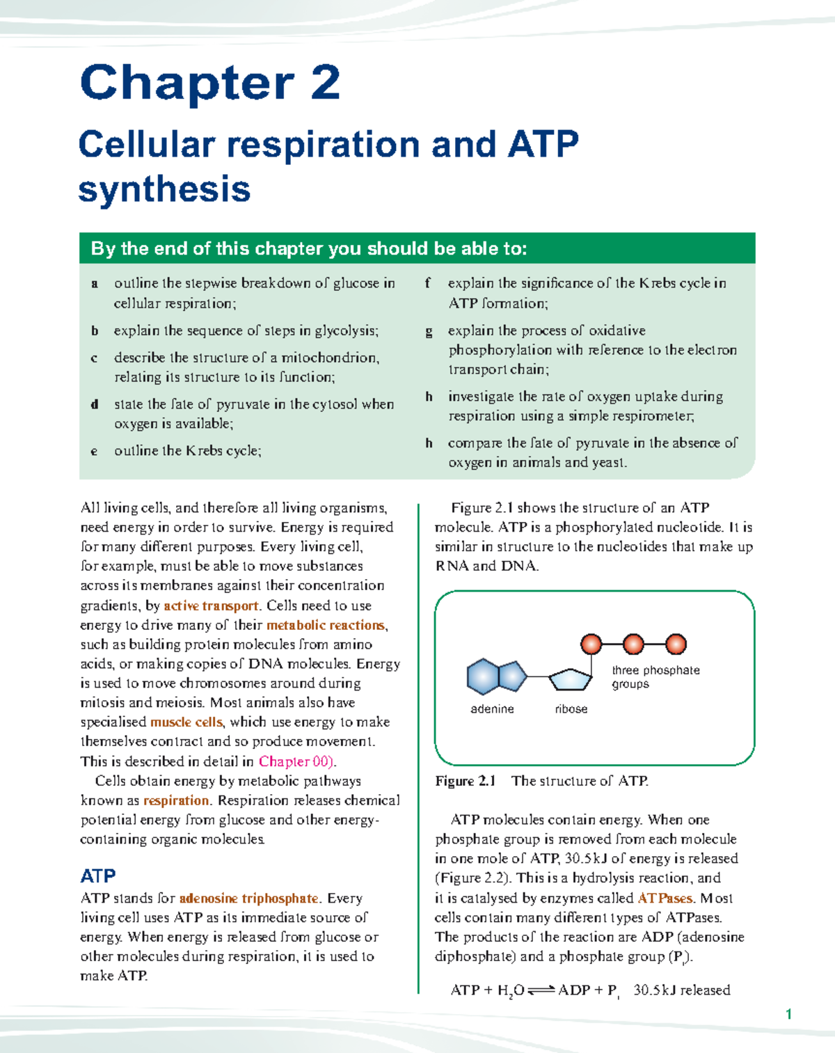 Unit 2 Test: Chapter on Respiration and ATP Synthesis - Studocu