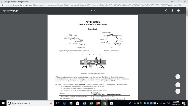 Grade 12 Bio Quiz - Cellular Respiration & Photosynthesis Process - Studocu
