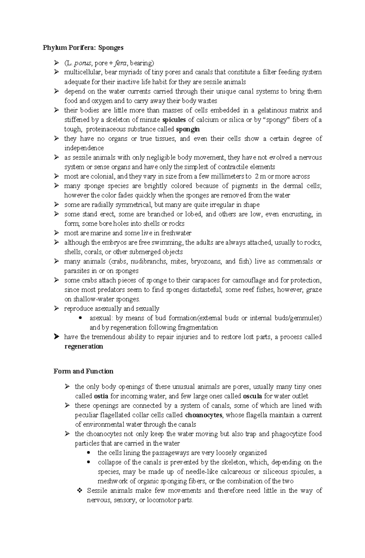Phylum Porifera: Comprehensive Notes on Sponges (L. porus) - Studocu