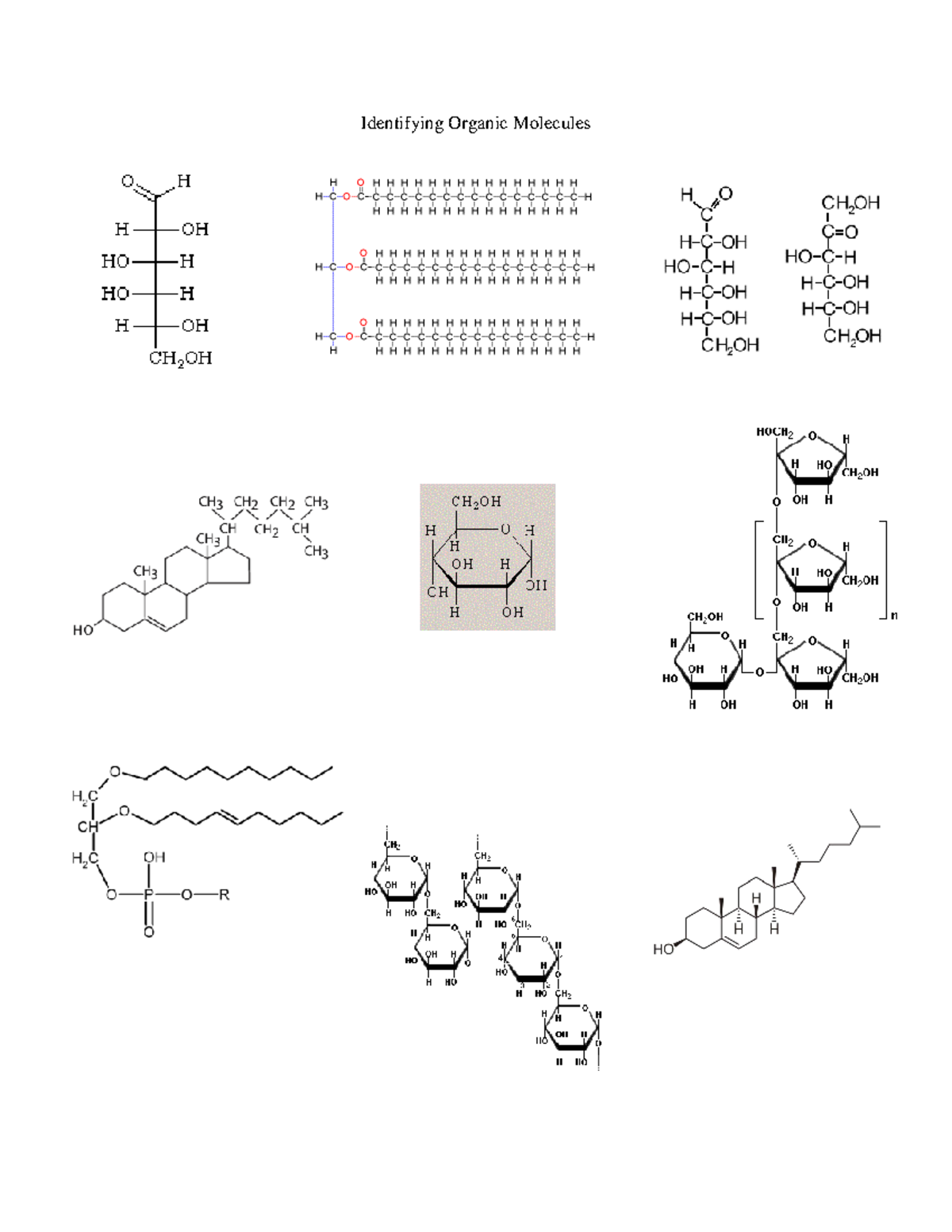 Identifying Organic Molecules: A Comprehensive Guide (CHEM 101) - Studocu
