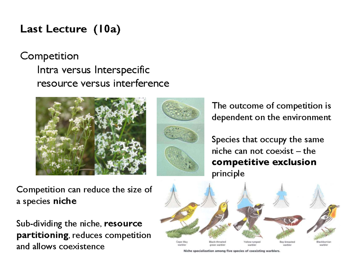 10a & 10b Lecture Notes: Intra vs Inter-specific Competition Analysis ...