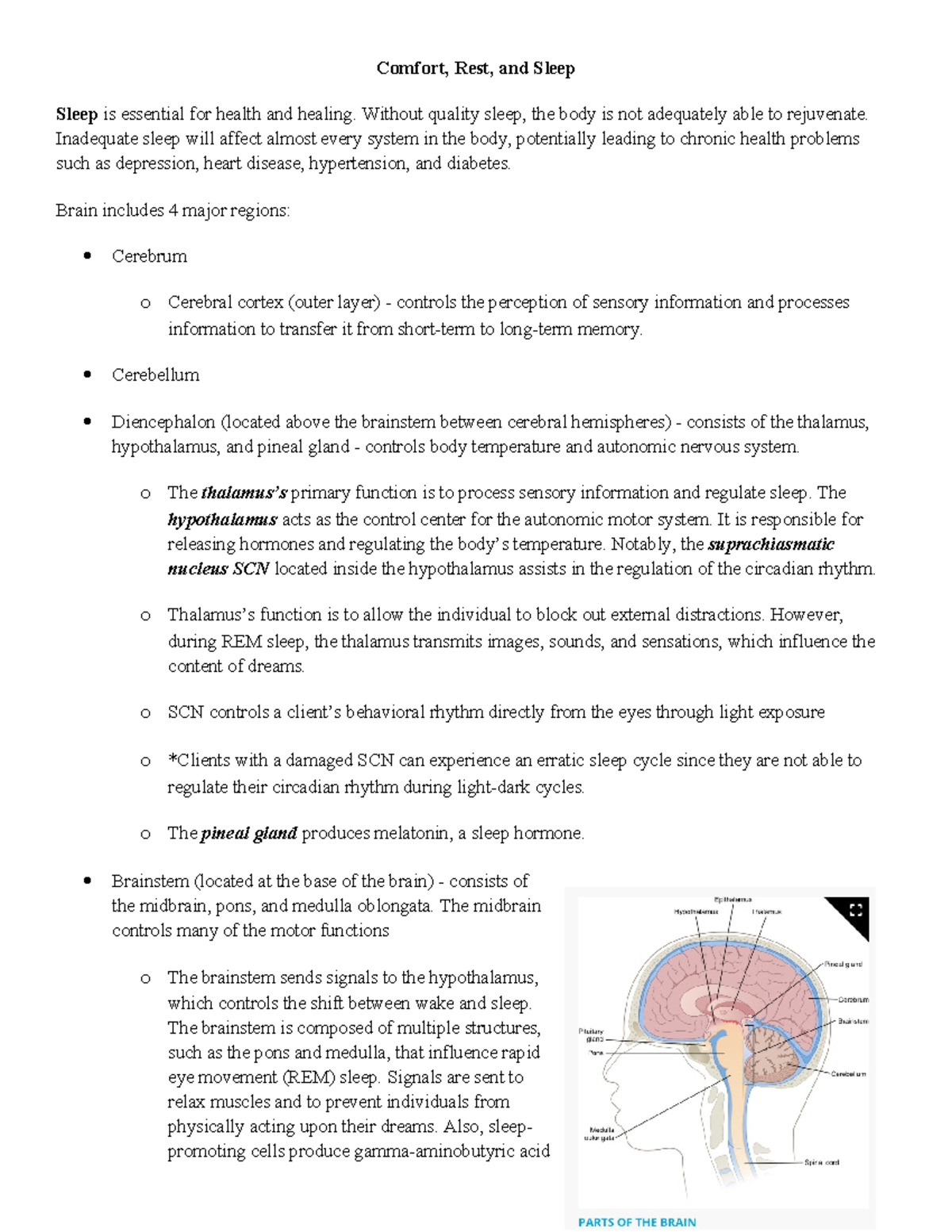 Comfort, Rest, Sleep, and Pain Management Notes - Studocu