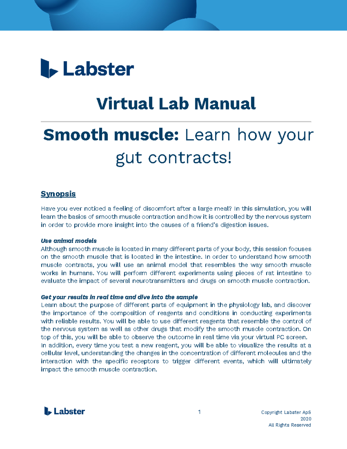 Lab Manual: Smooth Muscle Contraction in the Gut (Biol 101) - Studocu