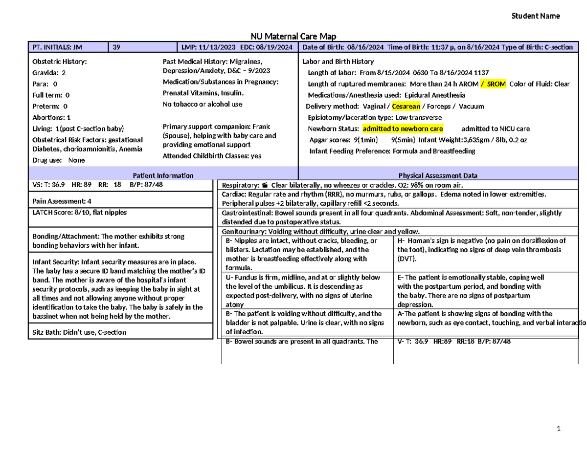 NSG 333 Maternal Care Map: Comprehensive Postpartum & Infant Care Guide ...