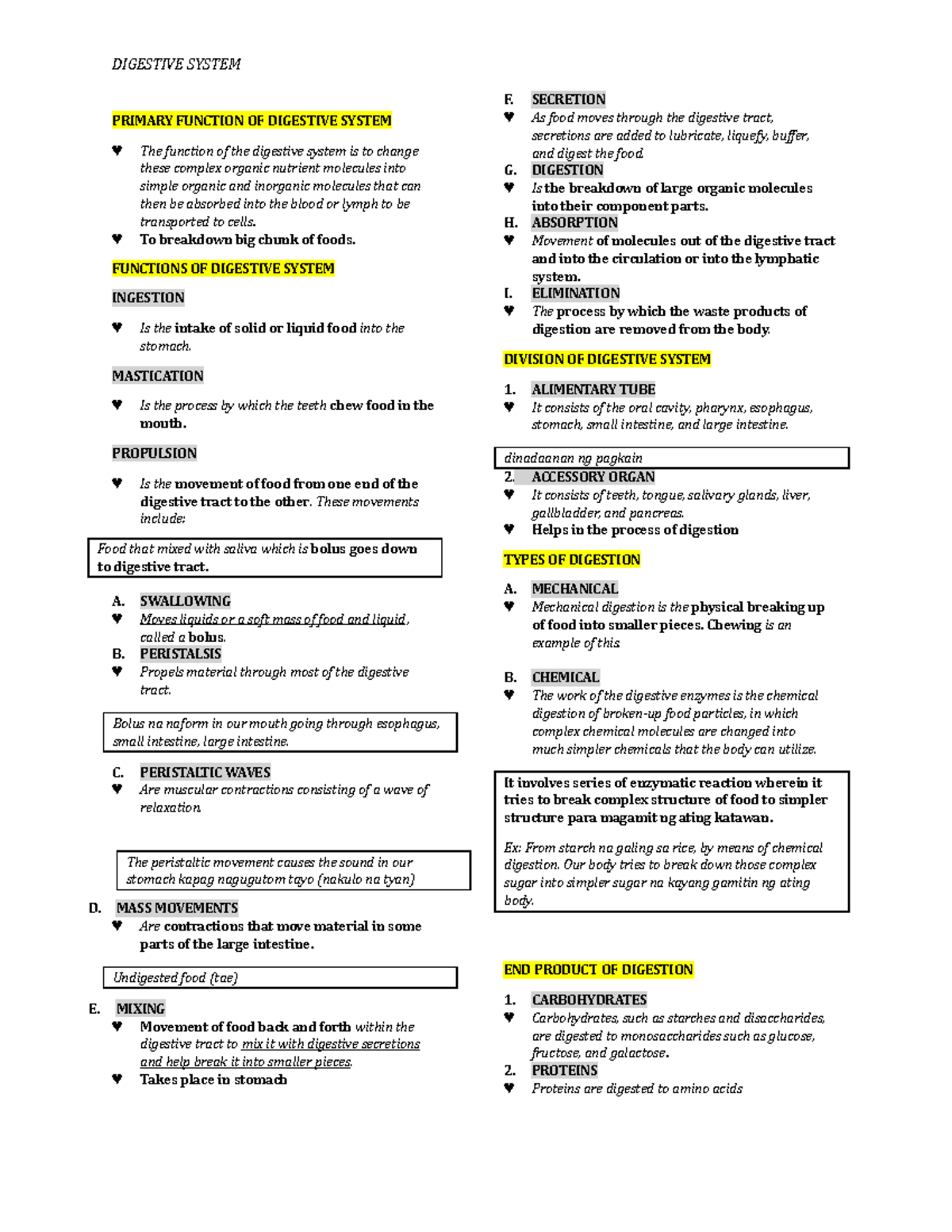 Digestive System Review: Functions & Anatomy Insights (BIO101) - Studocu