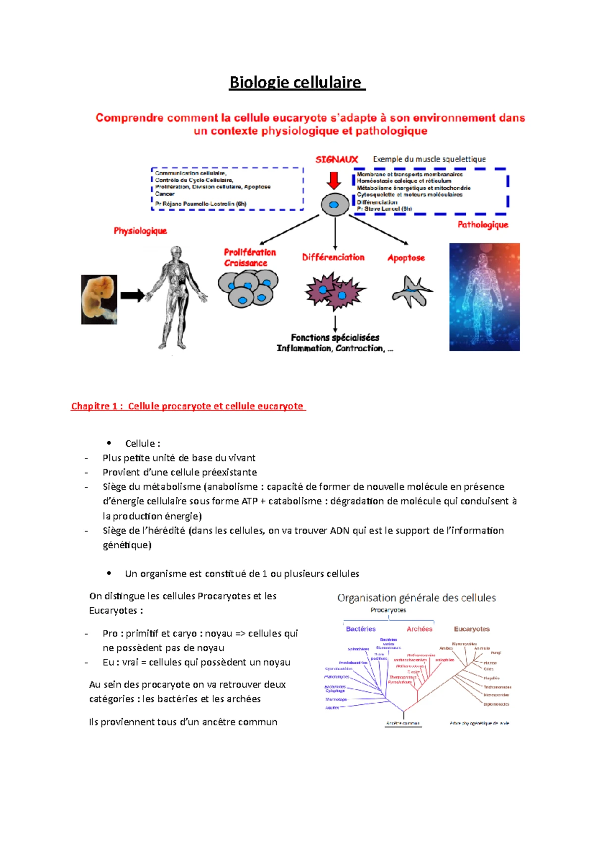 Biologie de la cellule cours n°1 - L1S Biologie de la Cellule ...