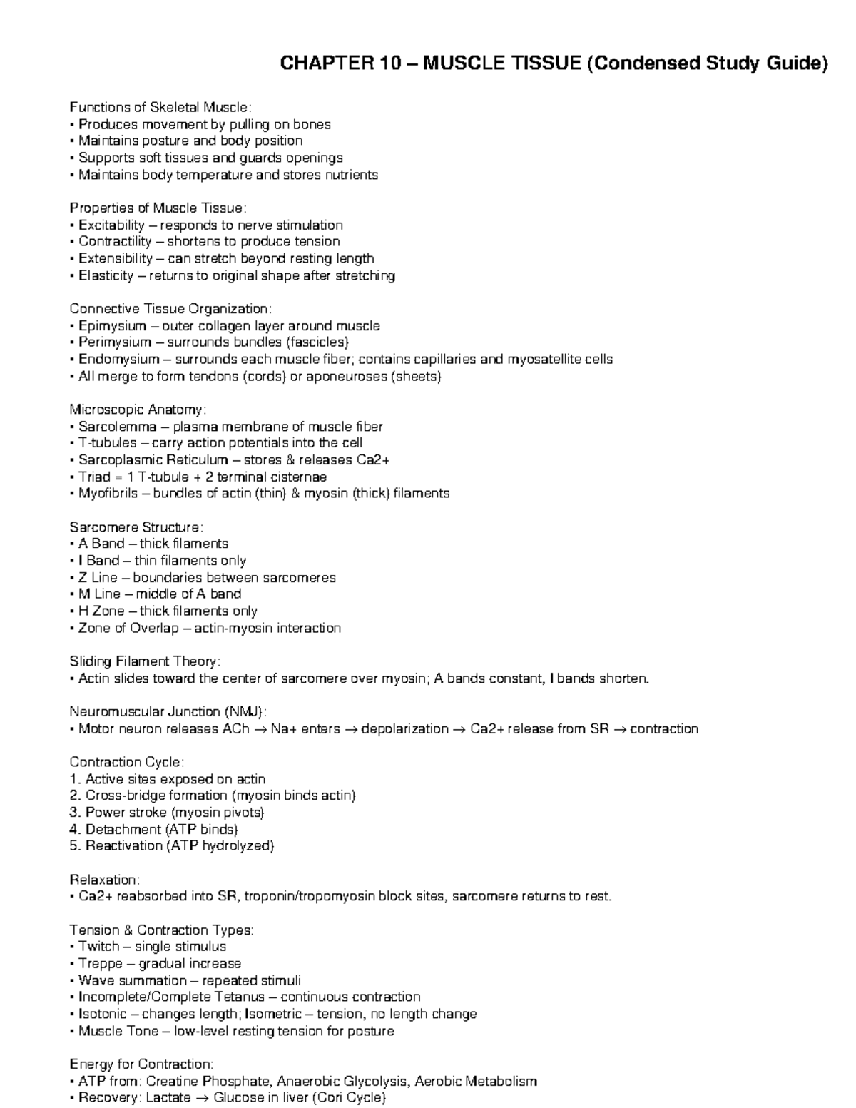 CHAPTER 10 MUSCLE TISSUE (Condensed Study Guide) - Studocu