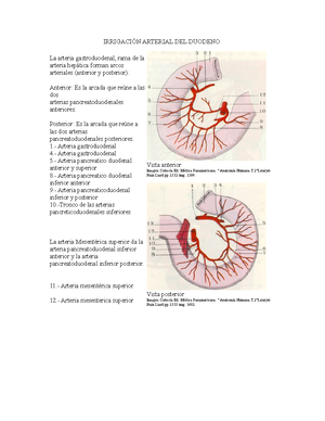 Esfínter Esofágico Superior - Esfínter Esofágico Superior Conformado ...