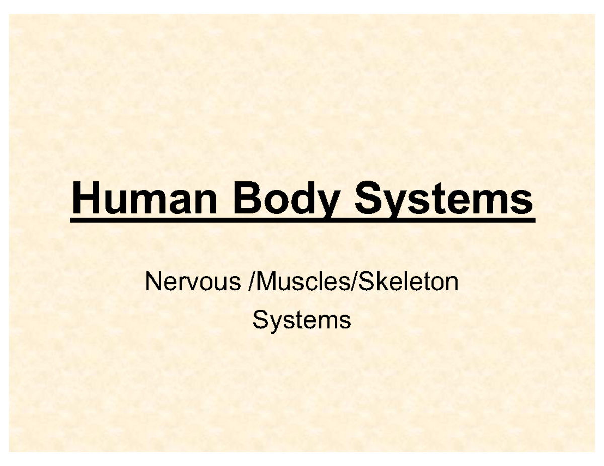 Human Body Systems Overview: Nervous, Muscular, and Skeletal Systems ...