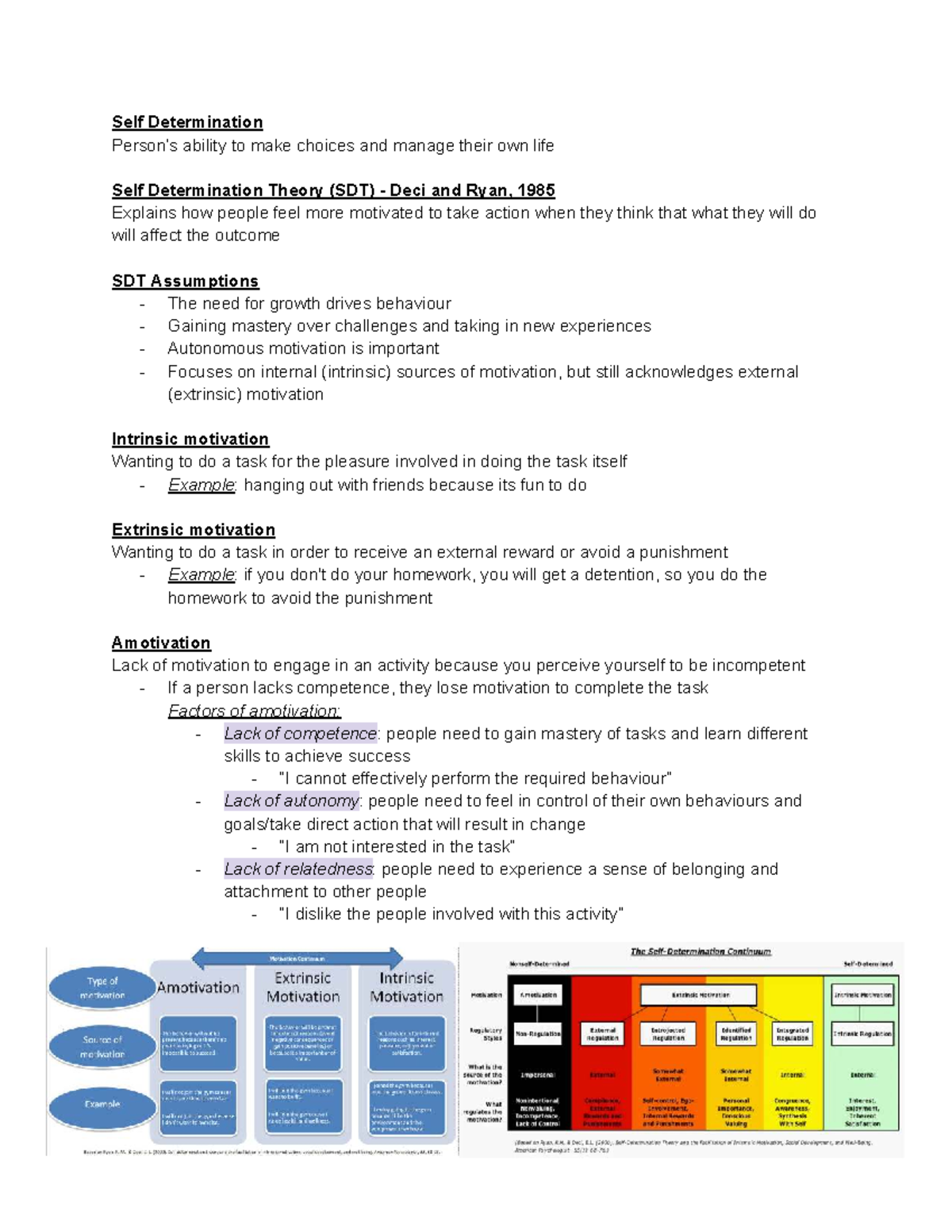 Self Determination Theory (SDT): Understanding Motivation and Choice ...