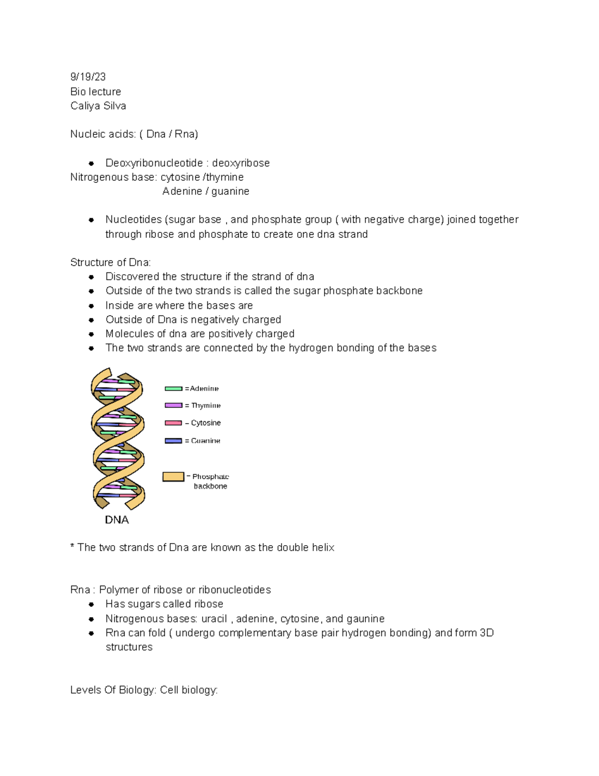 Biology Lecture Notes: Nucleic Acids & Cell Biology Overview - Studocu