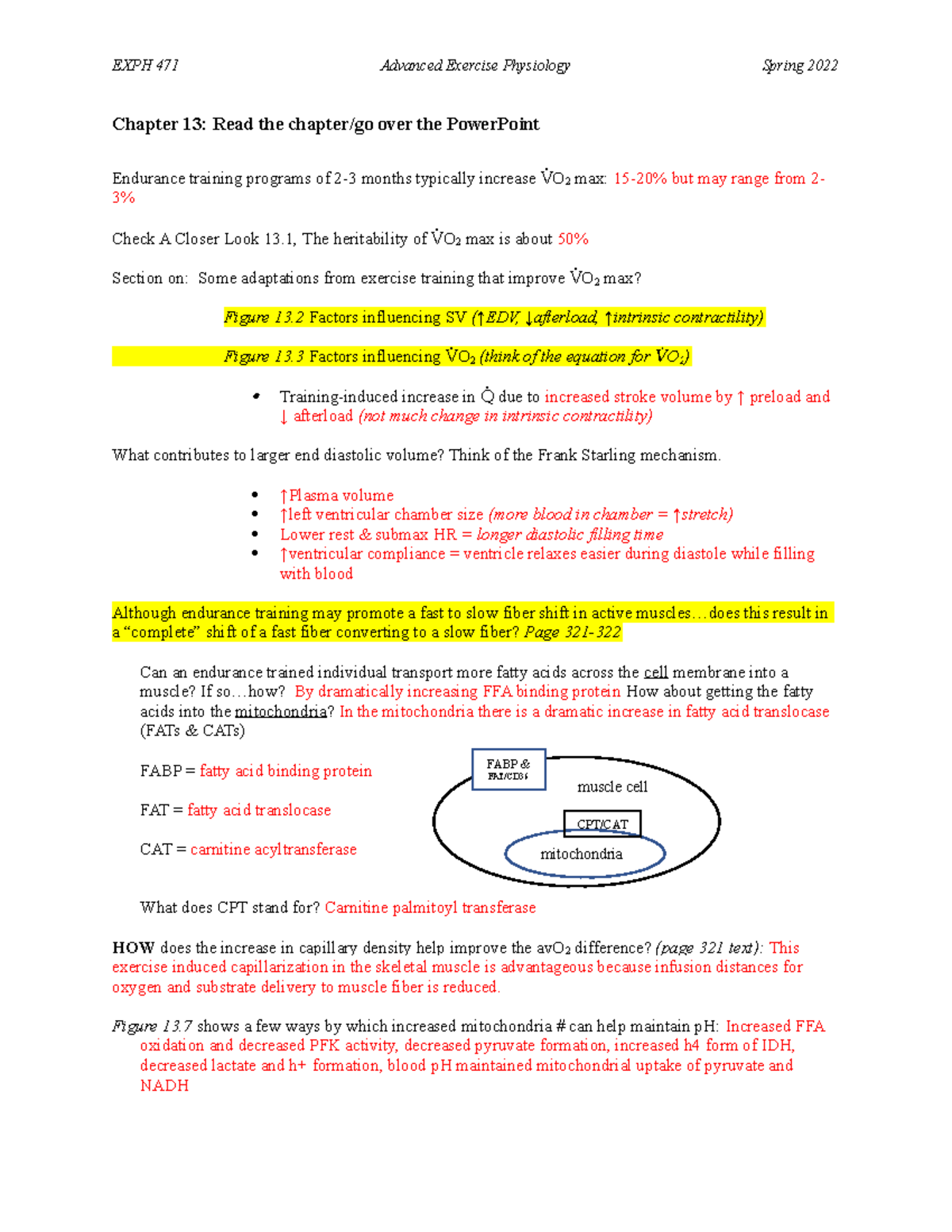 Chapter 13 & 14 Study Guide: Endurance & Resistance Training ...