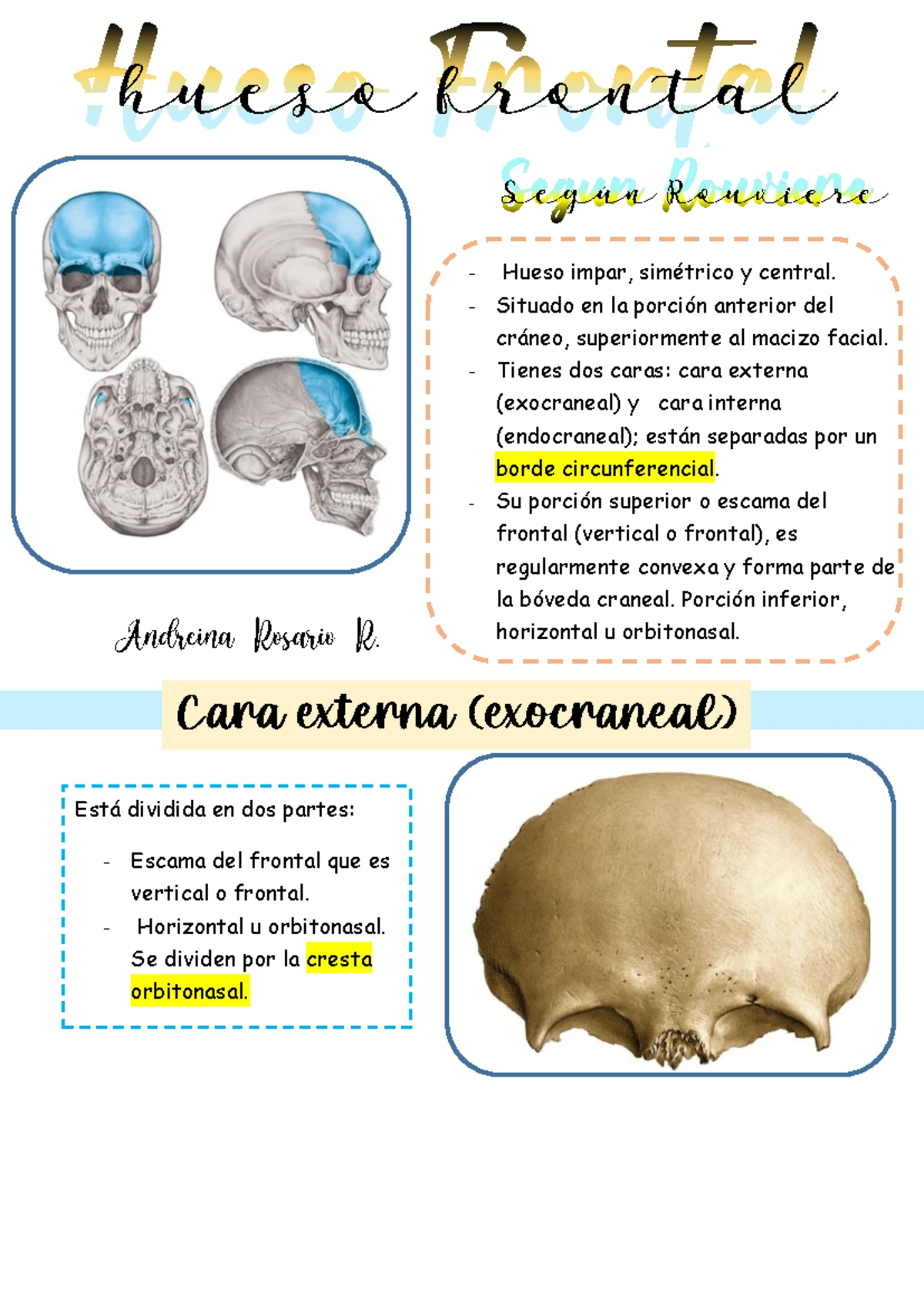 Resumen de lesiones líticas y blásticas en Imagenología 100580055 - Studocu