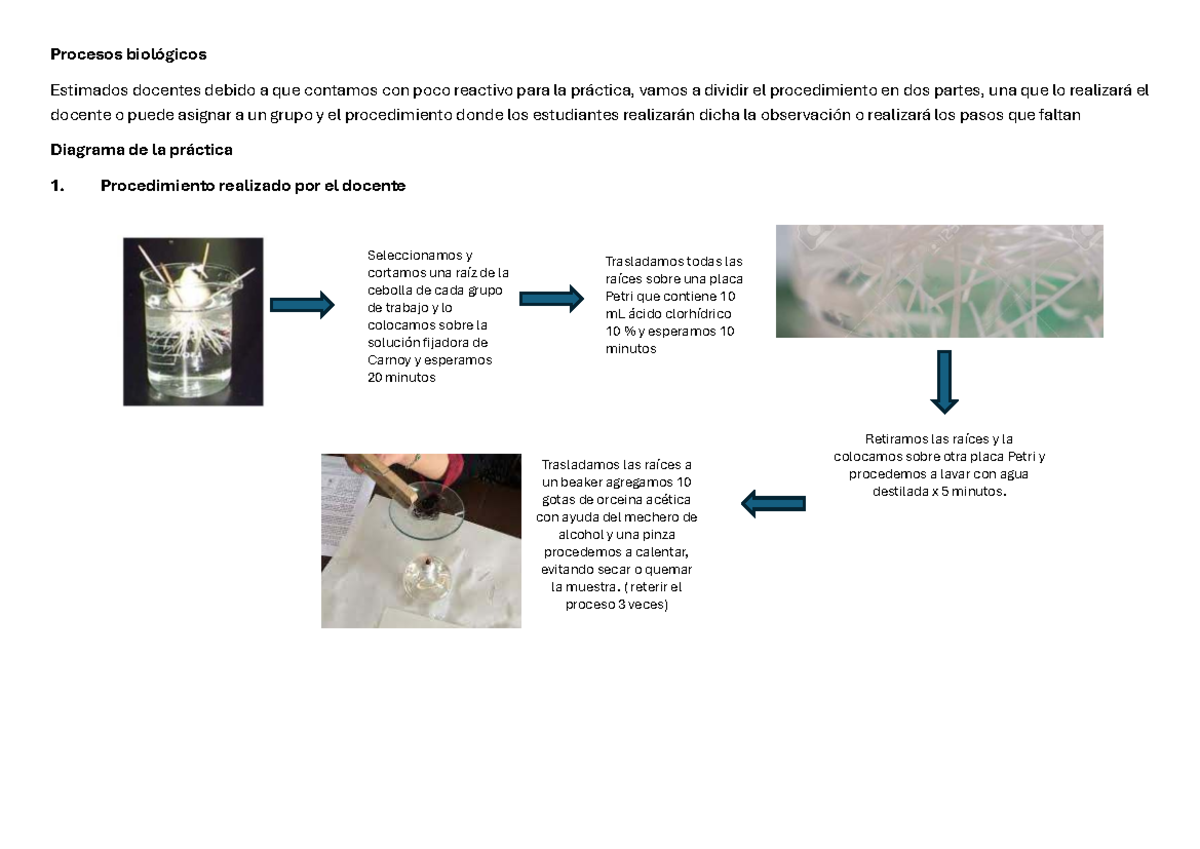 Procesos Biológicos - Flujo del Procedimiento Práctico 1 - Studocu