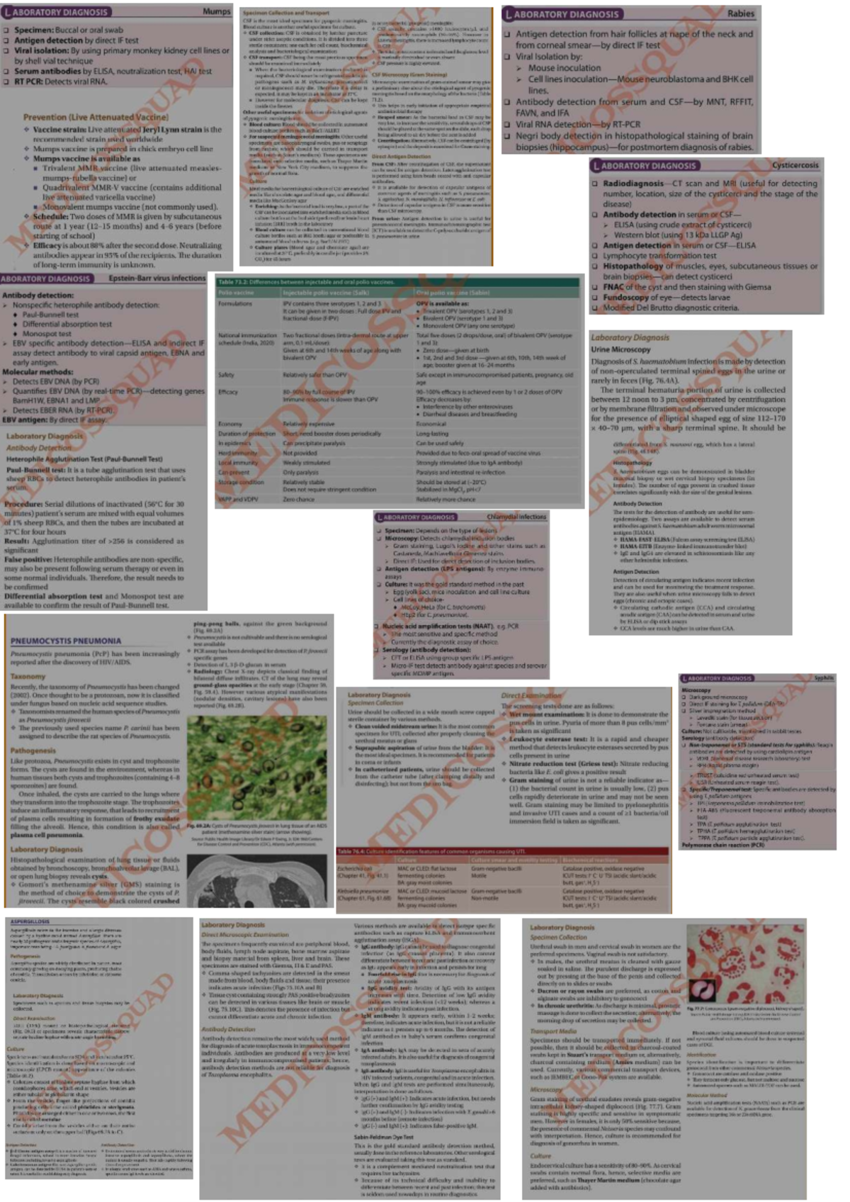 Laboratory Diagnosis of Mumps and Rabies Specimen Collection Techniques ...