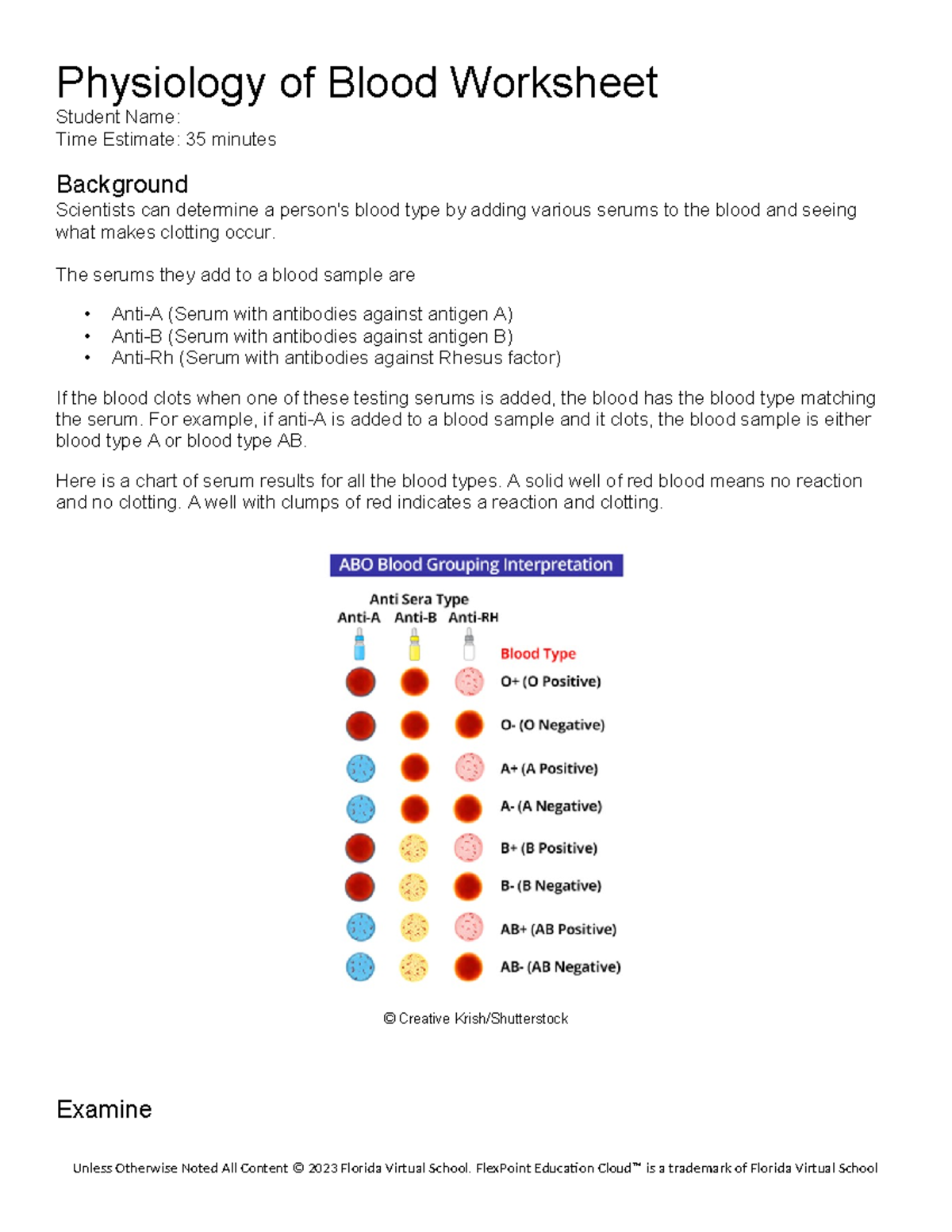 Physiology of Blood: Worksheet on Blood Typing & Transfusion Analysis ...