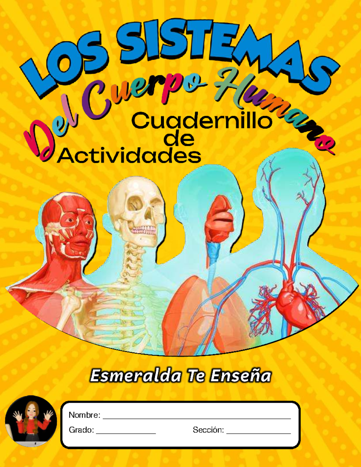 Sistemas del Cuerpo Humano: Resumen y Actividades Interactivas - Studocu