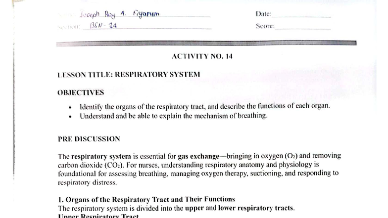 BIO 101: Respiratory System Lesson Notes and Functions - Studocu