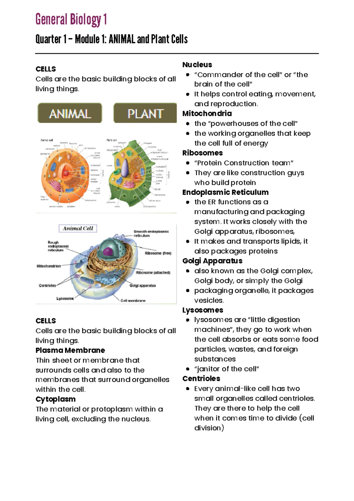 Genbio 1ST Grading Exam Reviewer: Cells and Cell Structures - Studocu