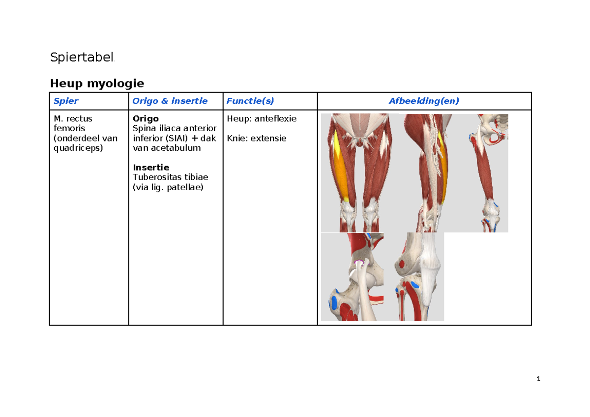 Spiertabel Anatomie: Origo, Insertie en Functies van Spieren - Studeersnel