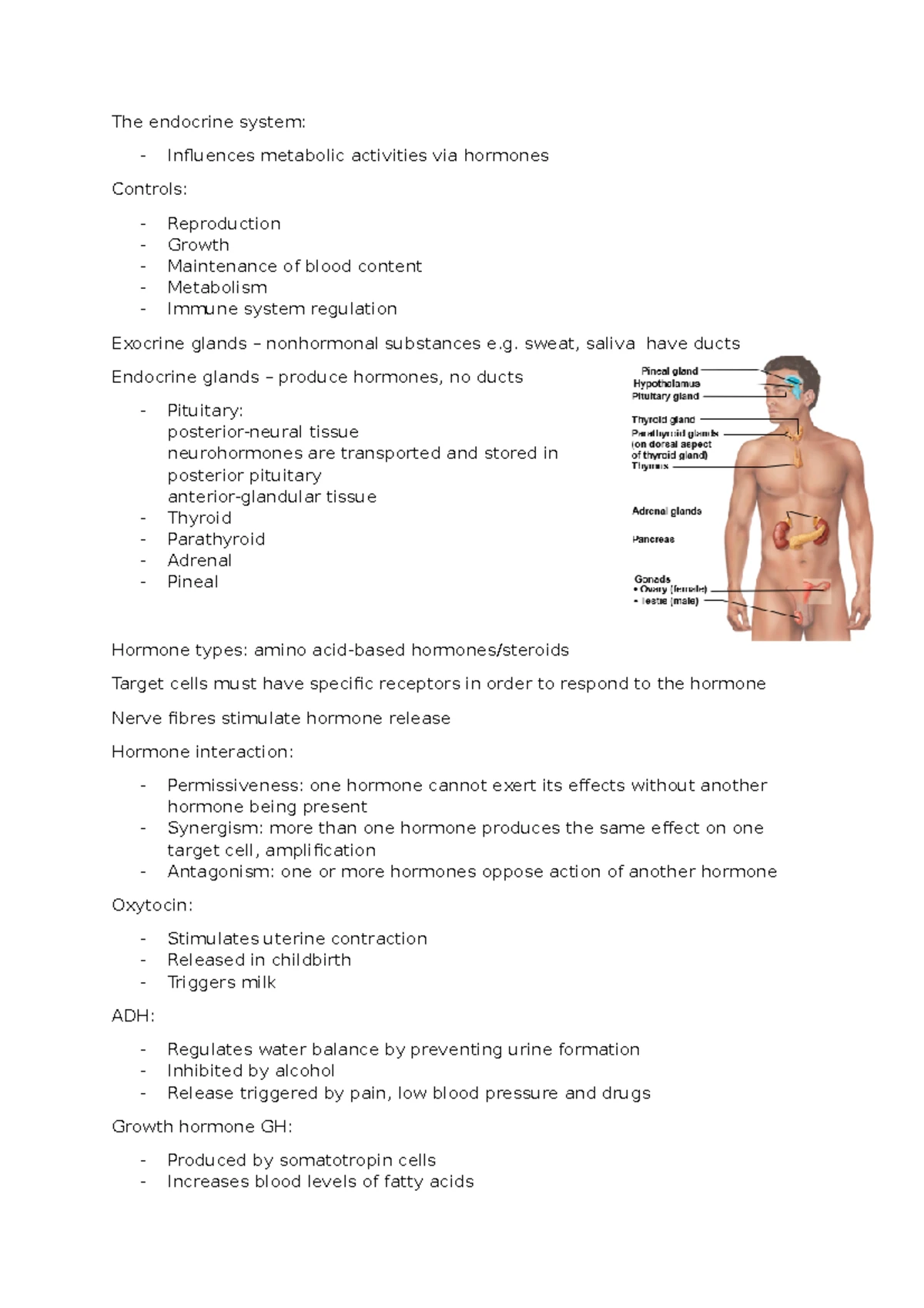A&P 1 Exam 1 Study Guide - Subject of Anatomy and Physiology: Anatomy ...