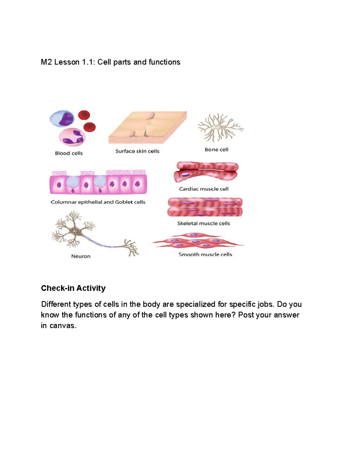 M2 Lesson 1.1 Cell parts and functionunction - Medtech - M2 Lesson 1 ...