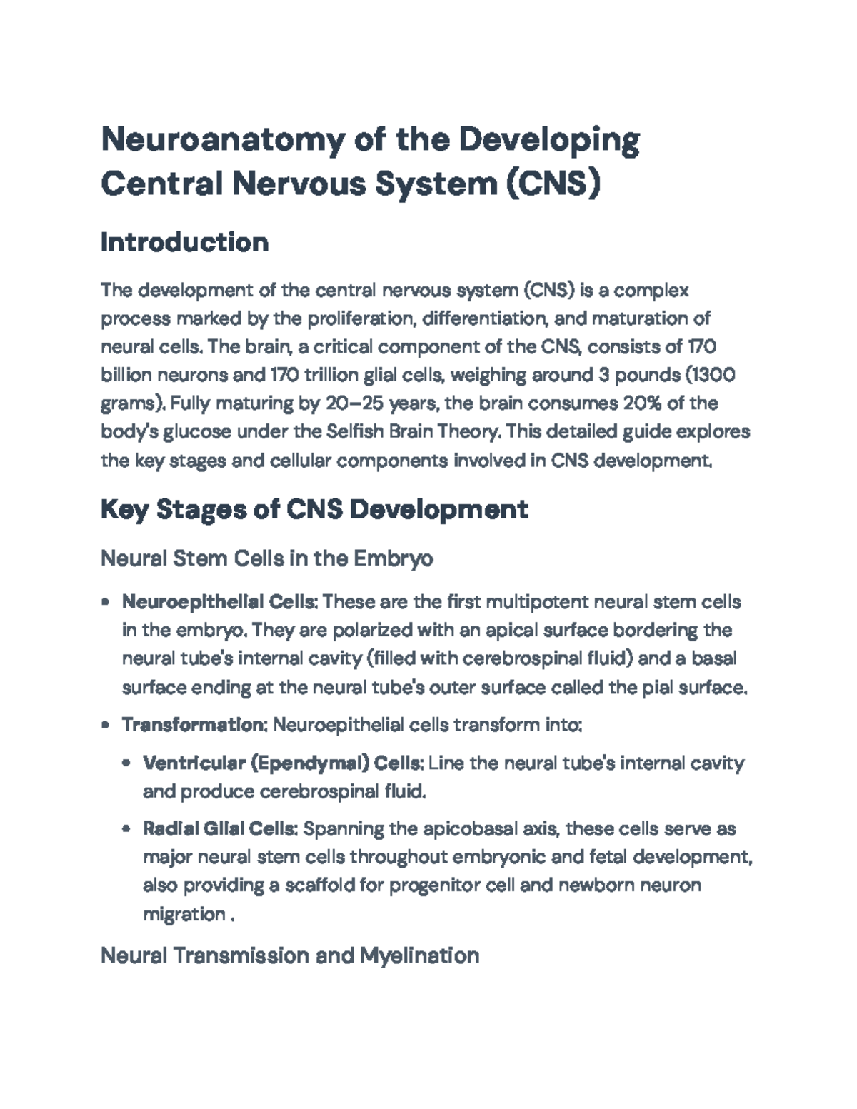 Neuroanatomy of CNS Development: Key Stages and Processes ...