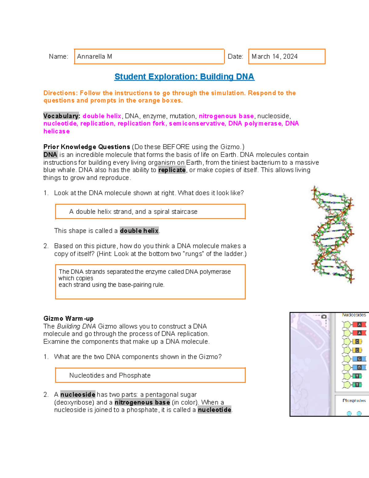 Exploration Guide: Building DNA – Student Notes for Biology (BIO101 ...