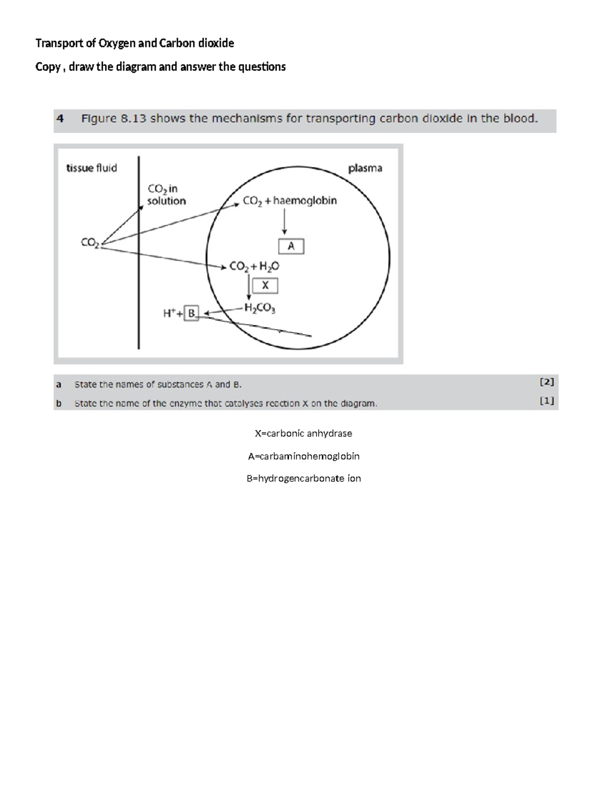 HW Transport of Oxygen and Carbon dioxide Worksheet - Transport of ...