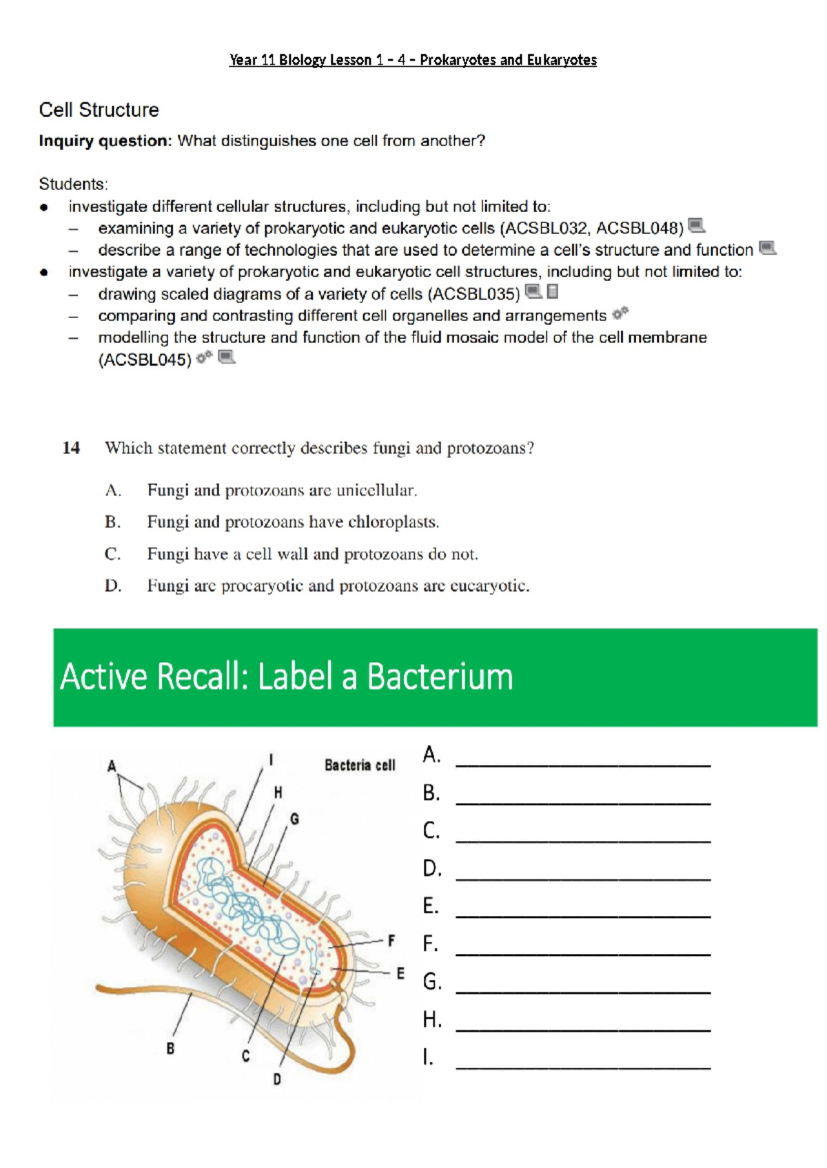 Year 11 Biology Lesson 1.4: Prokaryotes vs Eukaryotes Worksheet - Studocu