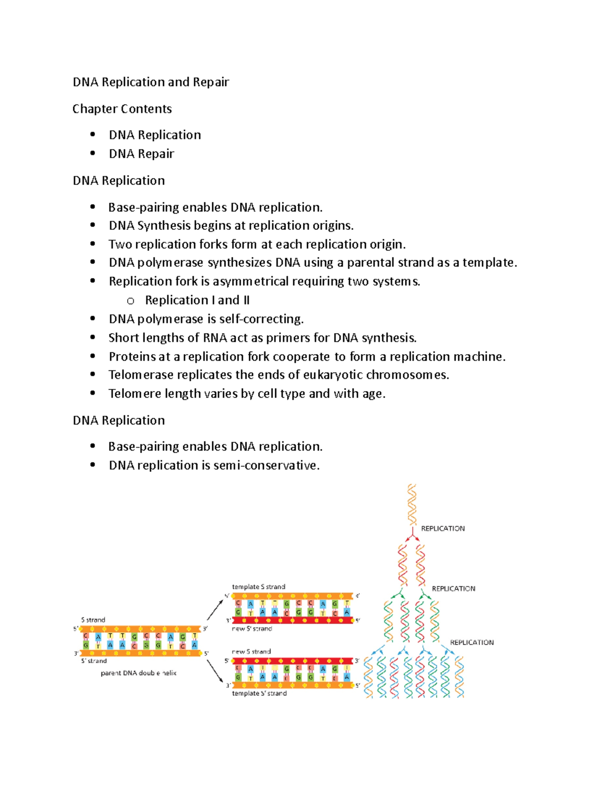 DNA Replication & Repair Overview: Concepts and Mechanisms - Studocu